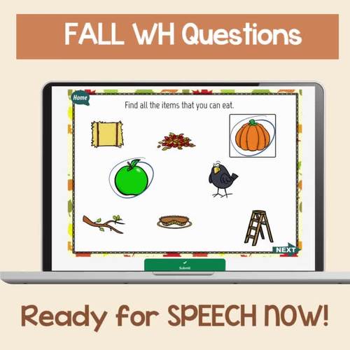 Fall Language NO PREP WH questions regarding features, function ...