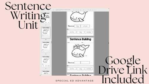 Digital + Print Sentence Writing Package for Special Education and ESL ...