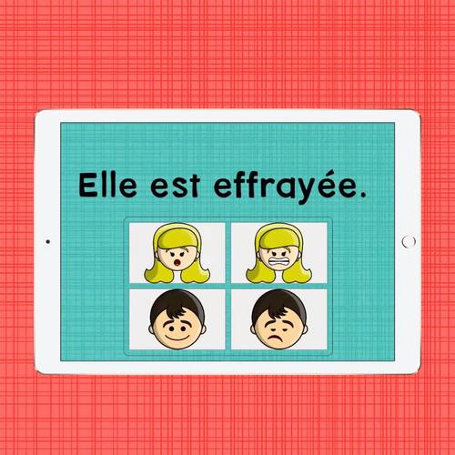 Identifier les émotions | Cartes Boom | French vocabulary | TPT