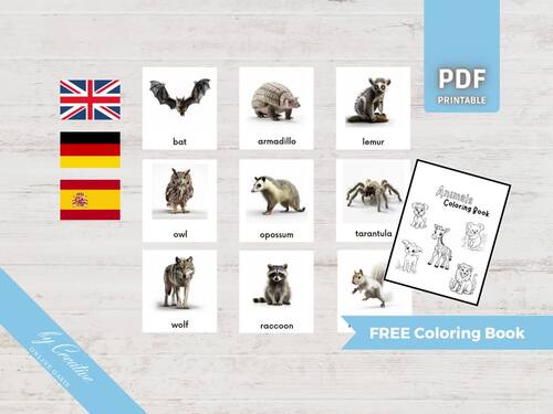 NOCTURNAL ANIMALS • 24 Montessori Cards • German Spanish Flash Card ...