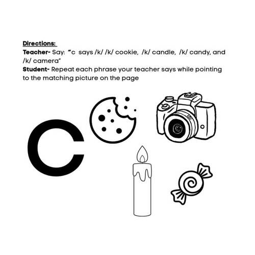 Orton-Gillingham Phonics Bundle| Short Vowels, Digraphs & Blends Practice