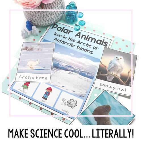 Preschool Science Experiments for Arctic Animals - Polar Animal Science ...