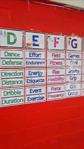 PE Posters-Alphabet Word Wall for Gym Wall or Bulletin Board-Colorful ...
