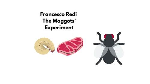 Francesco Redi Spontaneous Generation Lab Scientific Method & Controls ...