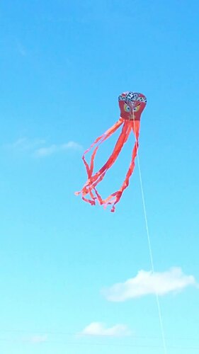 Octopus Kite from Japan - DIY Stem/Steam by WOW - World of Wonders