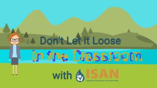 Free Environment Poster Videos | TPT