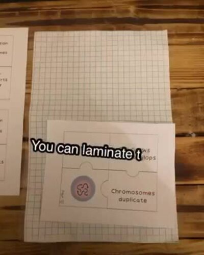 Cell Cycle-Mitosis Jigsaw Puzzle activity by biologystem | TPT