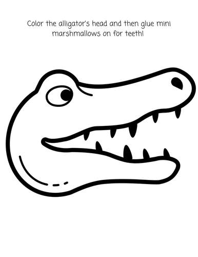 Creeping, Crawling, Flying Preschool Activity Workbook by SkyRocket ...