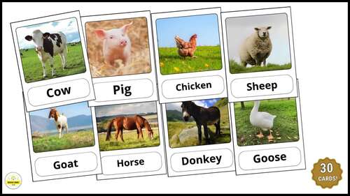 Farm Animals Classification Flashcards, ESL Vocabulary Photo Picture ...