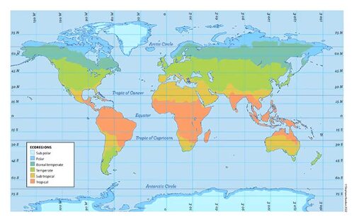 World biomes maps clip art - complete and layered by Working Dog Resources
