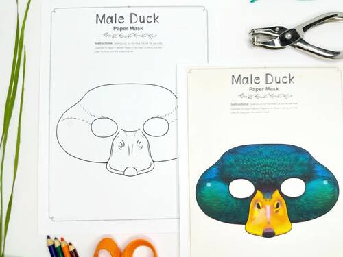 Duck | Paper Mask | Printable Craft | Ducks by Simply Schoolgirl