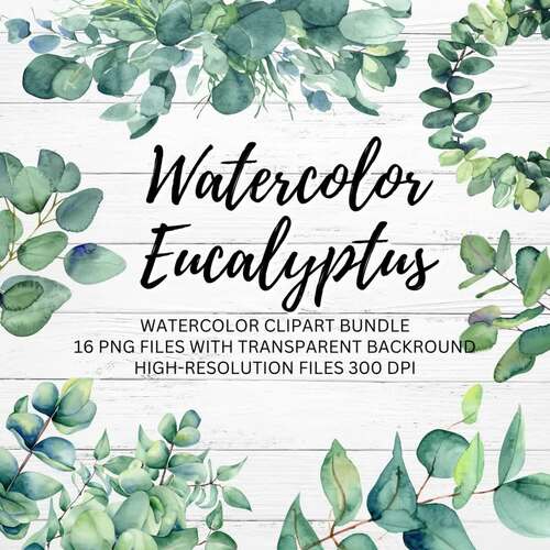 Watercolor Eucalyptus Clipart Bundle PNG files High-Resolution for Printing