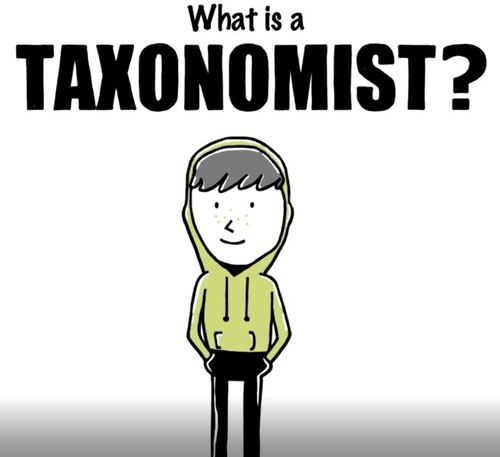 Career Video - What is a Taxonomist? by MindFuel | TPT