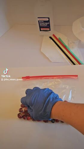 Cranberry DNA Extraction Lab Holiday Thanksgiving Science Activity ...