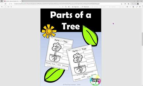 Parts of a Tree | Tree Labeling {trees, spring, fall} by Planning Garden
