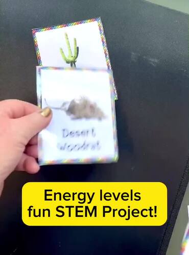 DESERT Food Chain STEM TRANSFER OF ENERGY RUBE GOLDBERG Project Activity