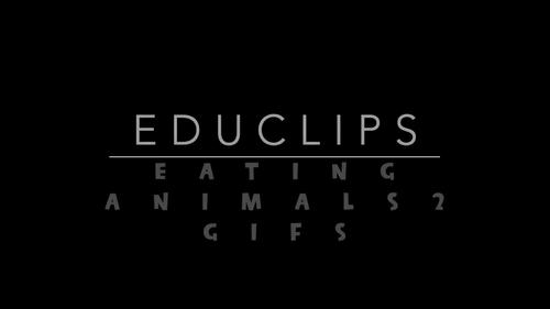 GIFs - Animals Eating 2 - Animated Images - {Educlips} by Educlips Clip Art