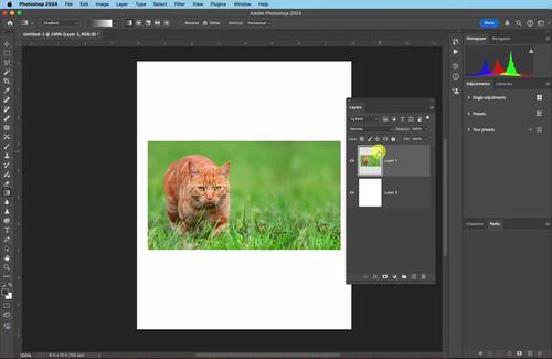 Unit 2 - Project 3 - DSLR Photography – Photoshop Tutorial D: Layers Part 1