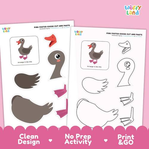 Pink Footed Goose Cut and Paste Craft Goose Coloring Page Wetland Bird ...
