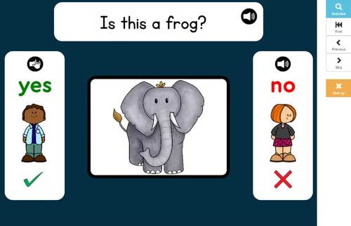 YES NO Questions | Animals by Give It a Look | Teachers Pay Teachers