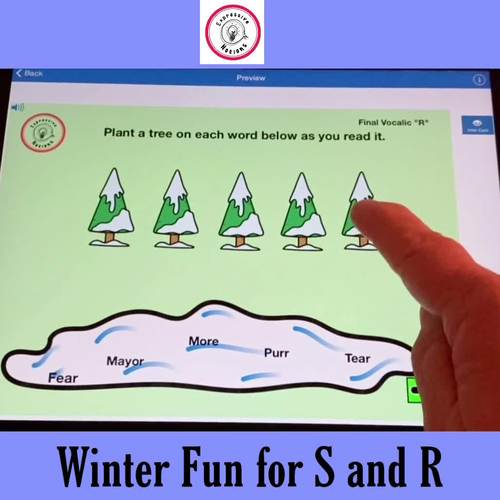 Winter Fun for S and R :Boom Cards by Expressive Notions | TPT
