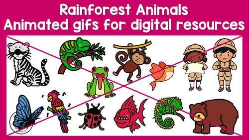 Animated GIFs Rainforest Animals | Animal Kingdom Clip Art | TPT