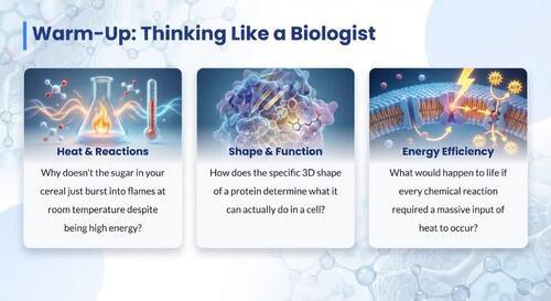 AP Biology - 5 Topic Presentations - Unit 3: Cellular Energetics - 2025 CED