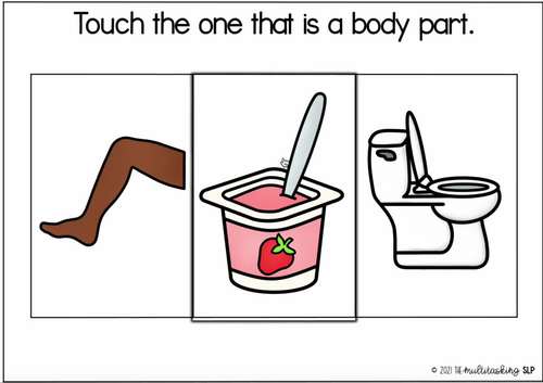 Category Inclusion Task Cards | Speech Therapy | Boom Cards™ & Printable