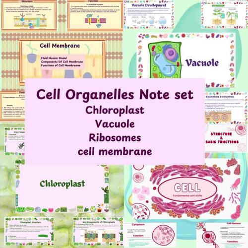 Cell Biology: Vacuole structure and function by Biochemistry by Noor