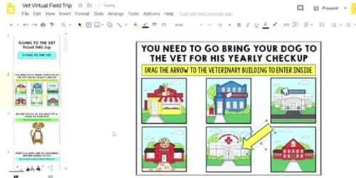 Life Skills - Virtual Field Trip - Vet Office - Pets - GOOGLE - CBI ...