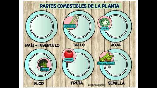 Partes de las Plantas Que Comemos Libreta Interactiva Digital & Print