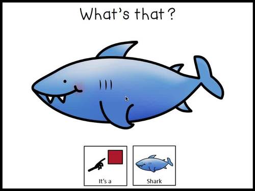 What's That: Summer Object ID and Sentence Starters Adapted Song Book