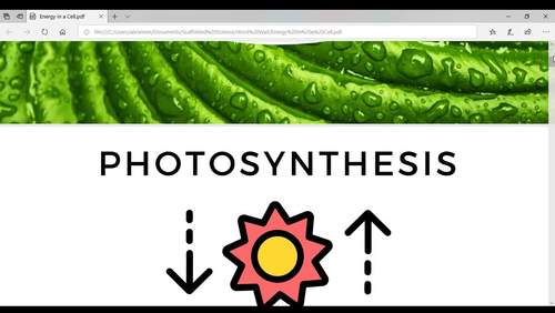 Energy in a Cell Word Wall/Verbal Visual Dictionary by Scaffolded Science