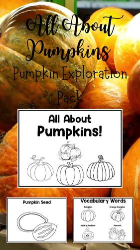 All About Pumpkins-Kindergarten Pumpkin Exploration Pack | TPT