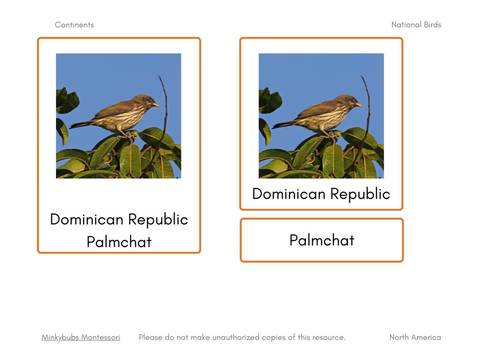 National Birds of North America Geography Montessori 3 Part Cards