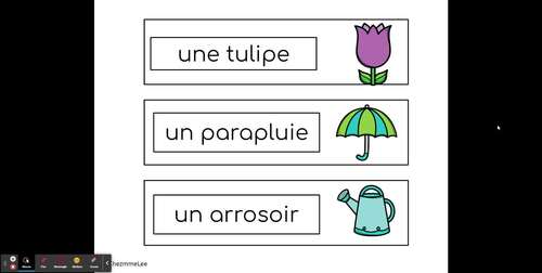 Printemps / Spring French Vocabulary Cards by Chez Mme Louise | TPT