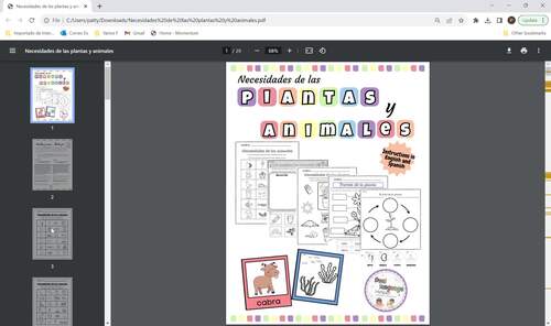 Necesidades de las plantas y animales | TPT