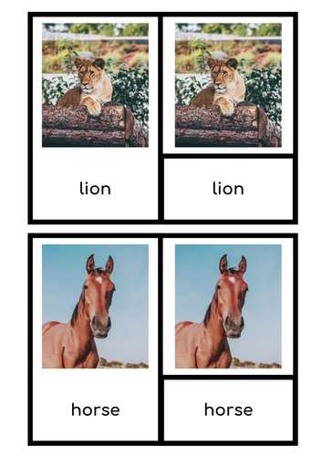 Mammals | Montessori | 3 Part Cards by Nuts About Nature Education