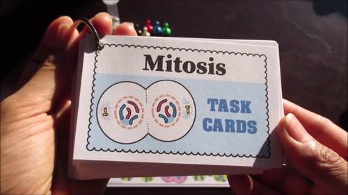 Mitosis Task Cards & Game Board | Printable, Google Slides for Distance ...