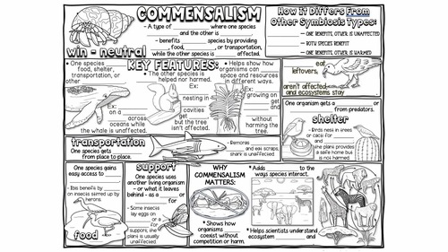 Commensalism Doodle Notes & Google Form Quiz | Symbiosis Relationships NGSS