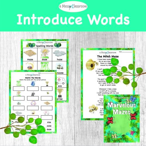 2nd Grade Spelling Unit Maze Themed Second Grade w/ Z, ZZ, ZE & Poetry ...