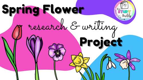 All About Informative Writing Research Project & Lapbook by Always Bee ...