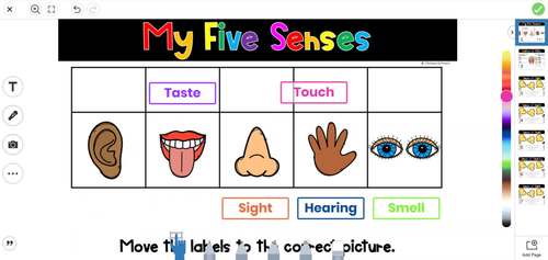 Seesaw Five Senses- Popcorn Investigation by Created by Chelsea | TPT