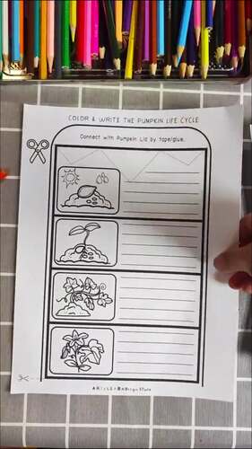 Pumpkin Life Cycle | Creative Classroom Writing Fall Activity ...