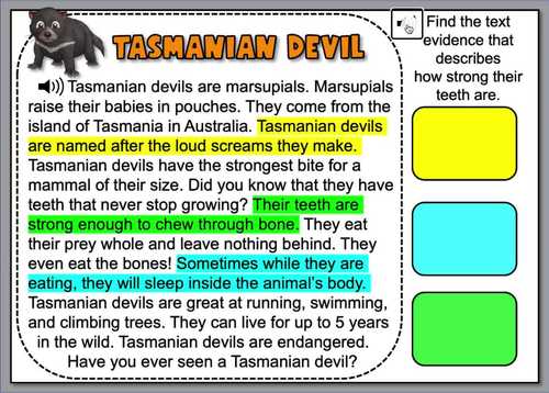 Tasmanian Devils Finding Text Evidence Reading Comprehension Boom Cards