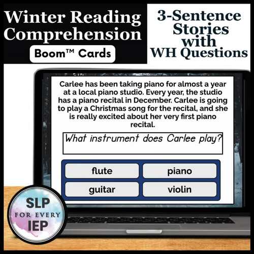 Winter 3-sentence Reading Comprehension Stories with WH Questions-Boom ...