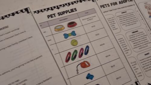 Financial Literacy Budgeting Project: Adopt a Pet | PBL for Grades 2 and 3!