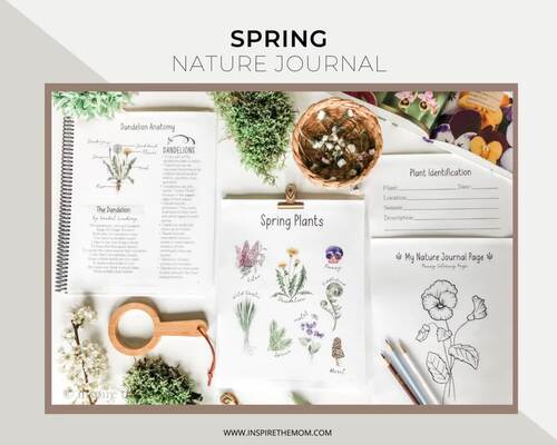 Spring Nature Journal for Nature Study by Inspire the Mom | TPT