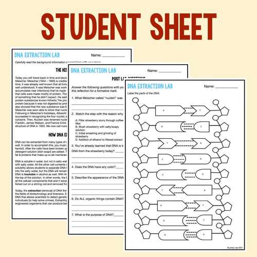 DNA Extraction Lab by Laney Lee | TPT
