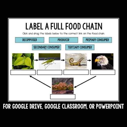 Science Digital Activities Resource Year-Long BUNDLE (Google Slides, PPT)